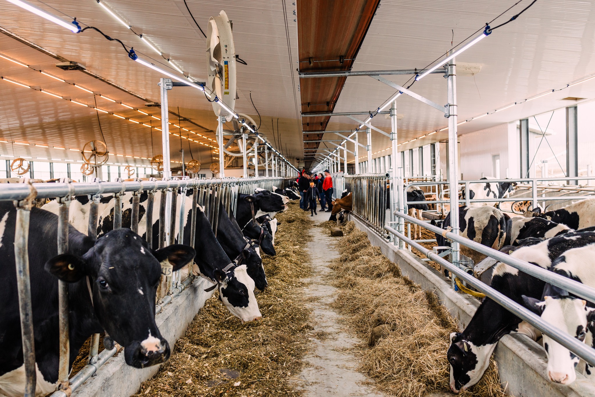 La ferme Malaco à Magog : un environnement moderne et des solutions ...